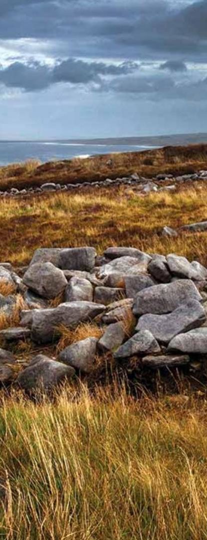 Things To Do in Mayo | Trips to Mayo | Great National Hotel Ballina
